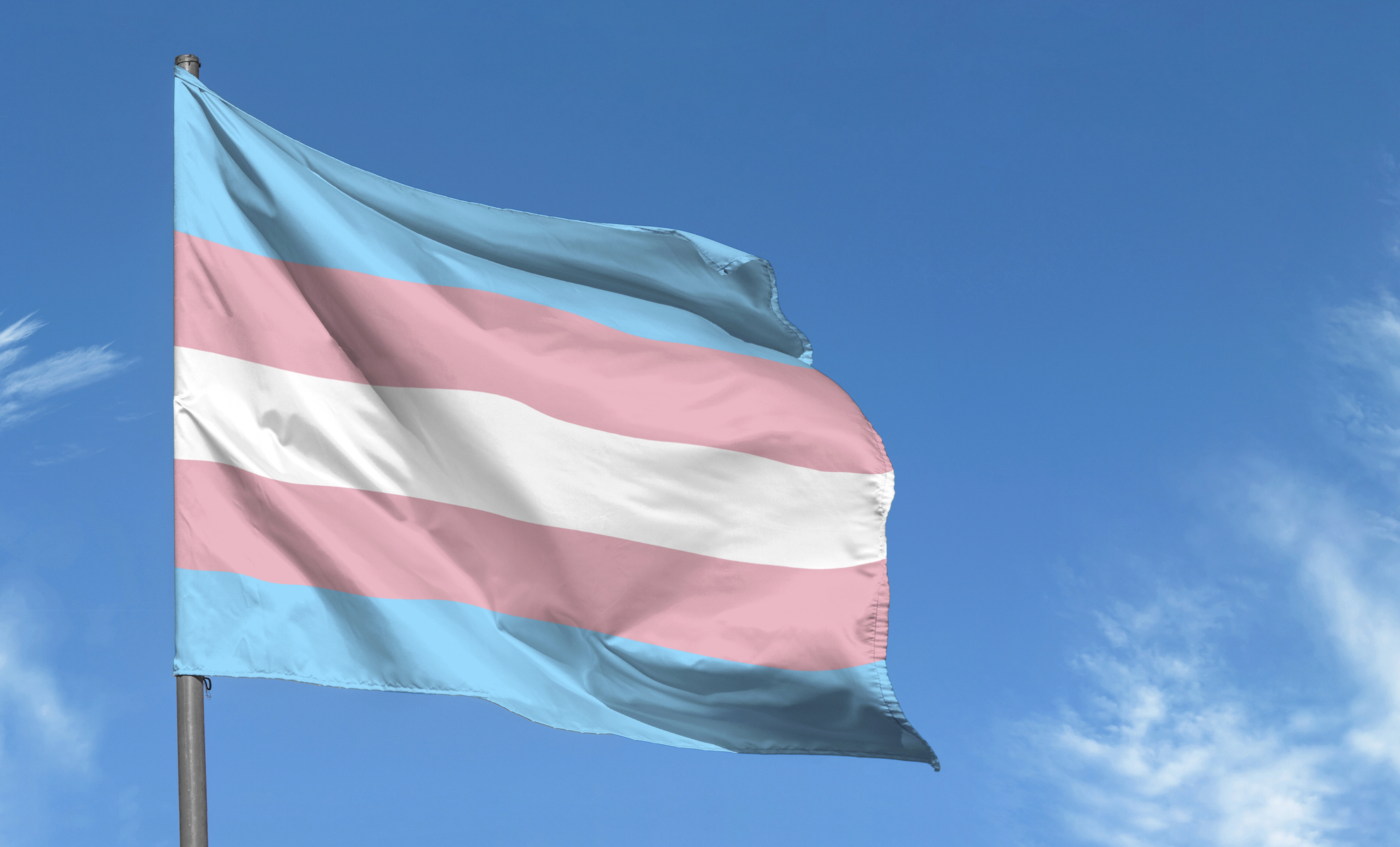 Trans Awareness Week 2025: The Power of Affirming Care – AAMFT+